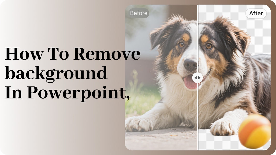 How to Remove Background in PowerPoint | X-Design